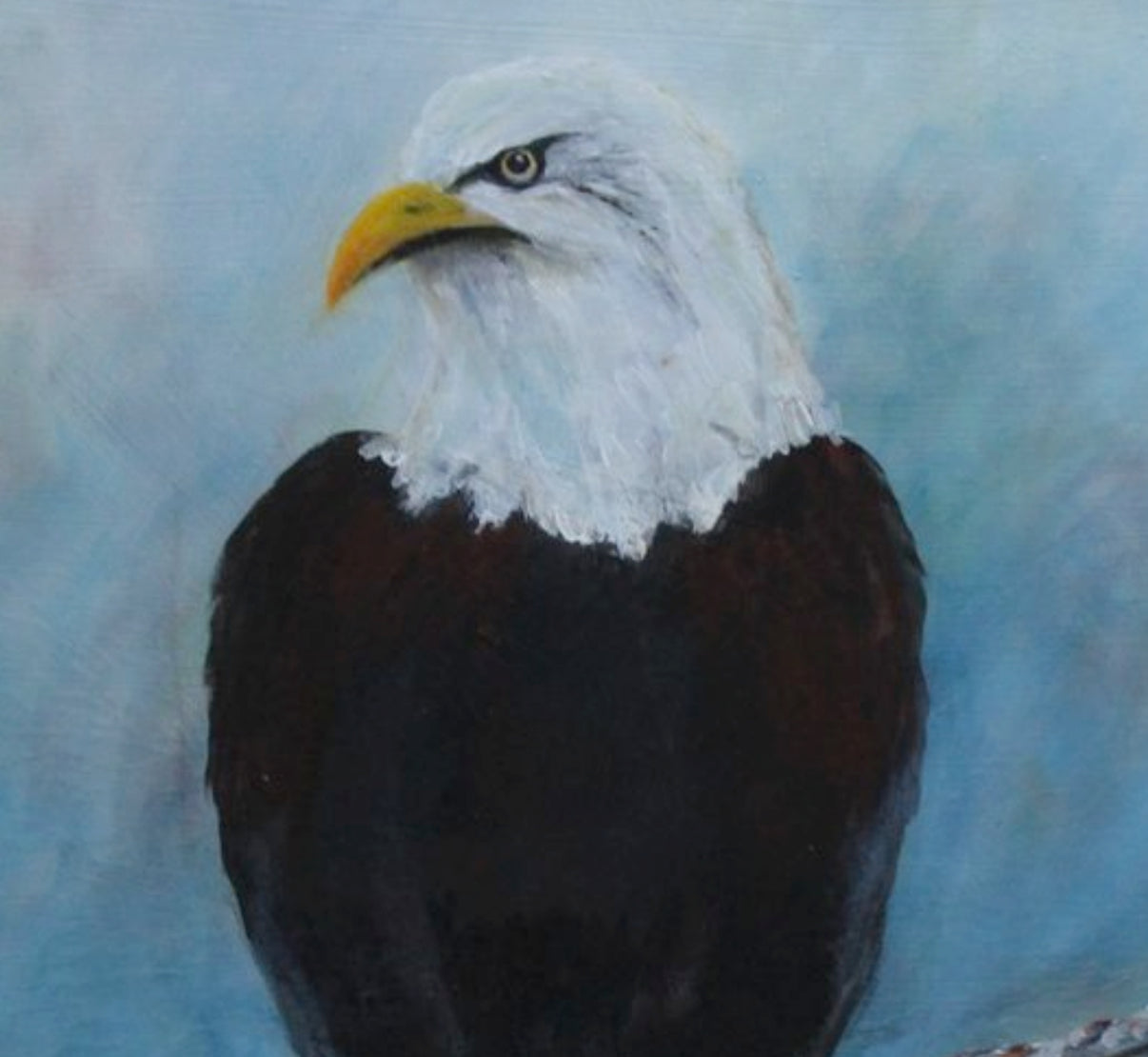 Watching Eagle – Seafern Art Gallery